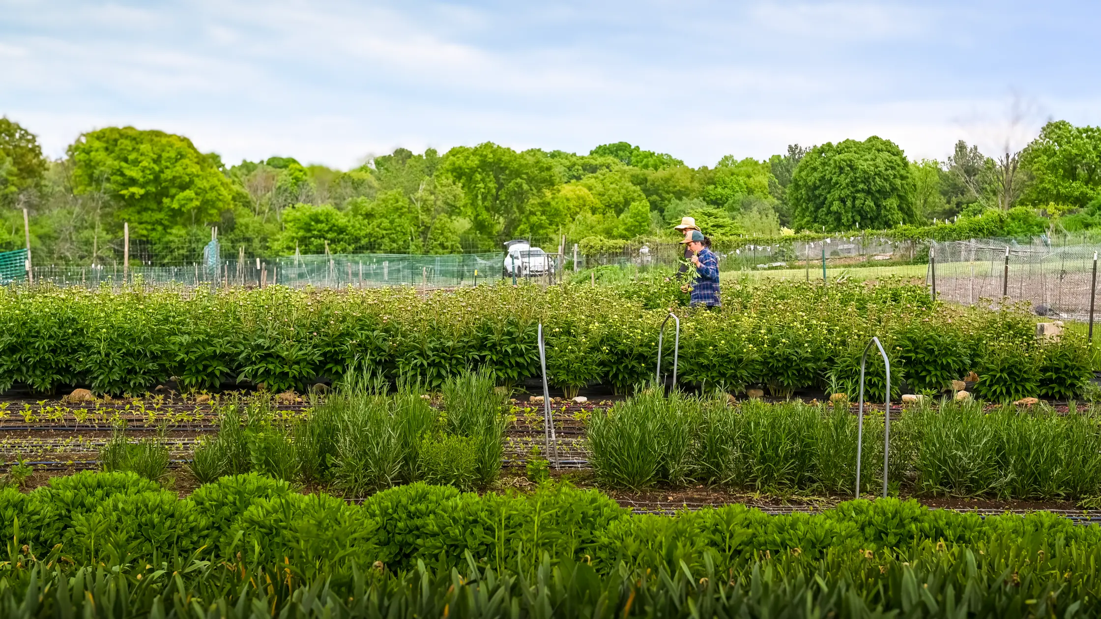 Meet the MUD Farm Network: Showcasing Conservation on Milwaukee’s Urban ...